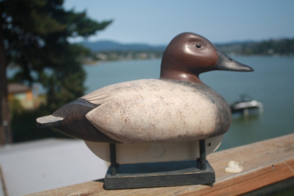 Canvasback Drake by Carl Carew, Toms River, NJ. GE, OP, Hollow. | eBay