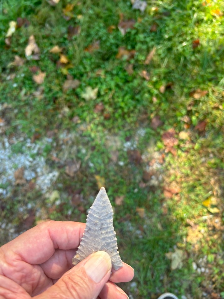 Authentic thin Pine tree arrowhead, artifact, from Kentucky! | eBay