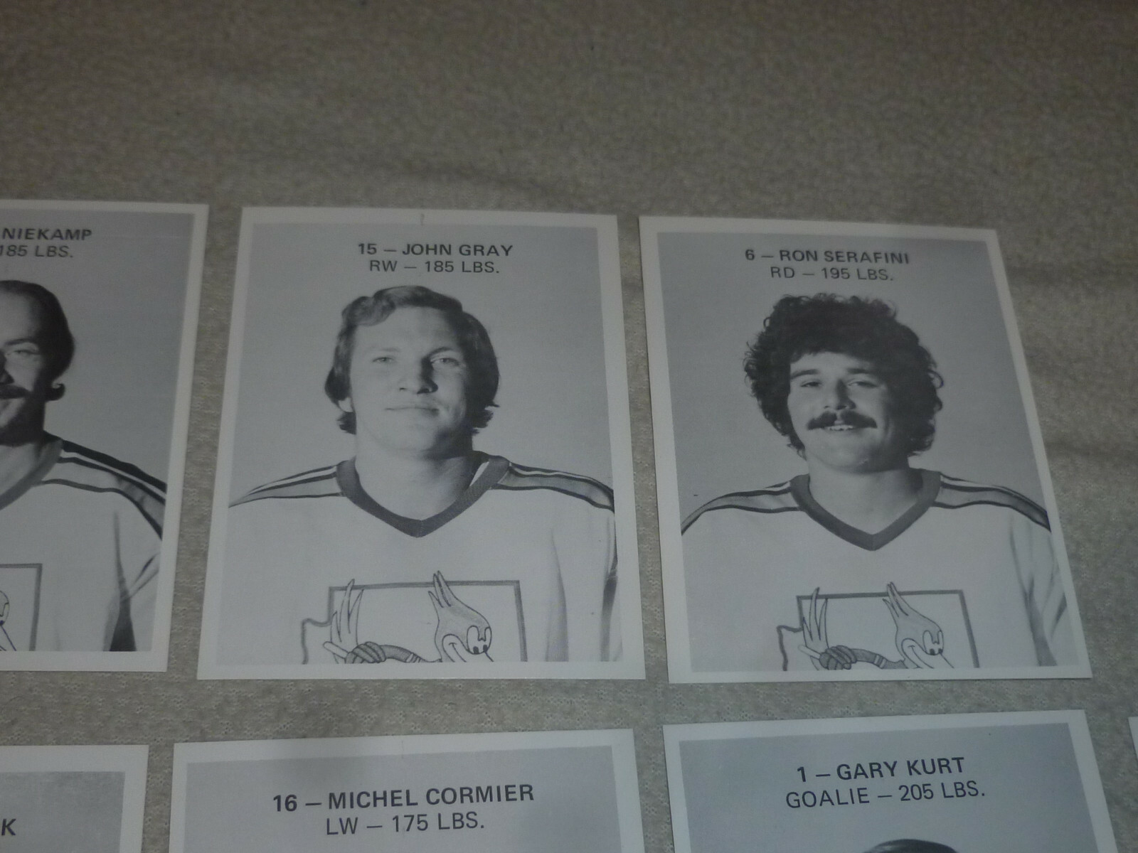 1975-76 WHA PHOENIX ROADRUNNERS TEAM PHOTO SET HOCKEY ROBBIE FTOREK ...