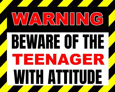 WARNING BEWARE OF THE TEENAGER WITH ATTITUDE SON DAUGHTER METAL PLAQUE ...