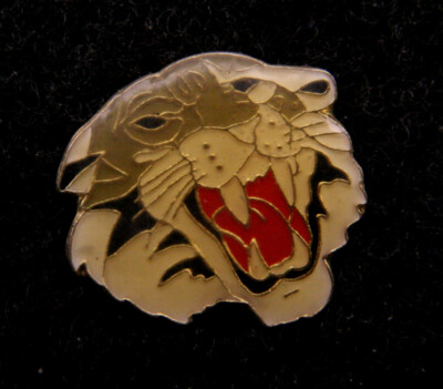FLYING TIGERS PIN UP US ARMY AIR CORPS AVG CHINA VETERAN WING TIGER | eBay