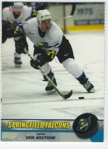 2002-03 Springfield Falcons (AHL) Erik Westrum | eBay