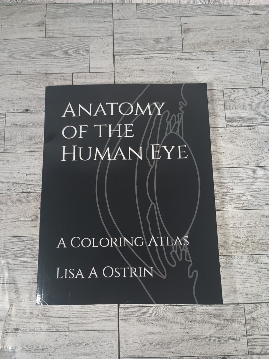 Human Eye Coloring Page Buy Eye Anatomy Coloring Book: Eye Anatomy