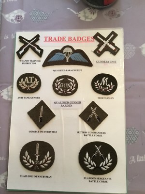 ARMY TRADE/SKILLS AND QUALIFICATION BADGES | eBay UK