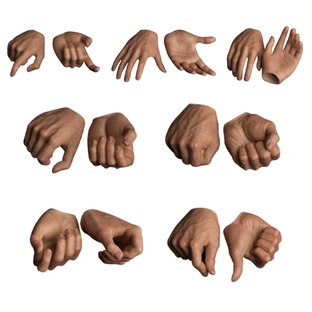 Female Right Hand Reference