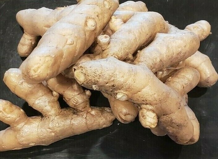 Fresh Organic White Turmeric Root. 1/4-lb package-Free Shipping | eBay