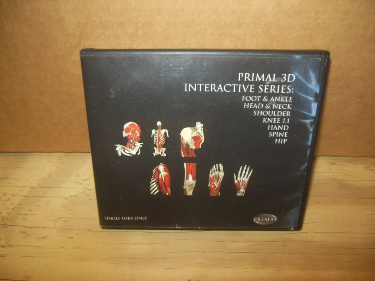 Interactive 3d Human Anatomy Shoulder