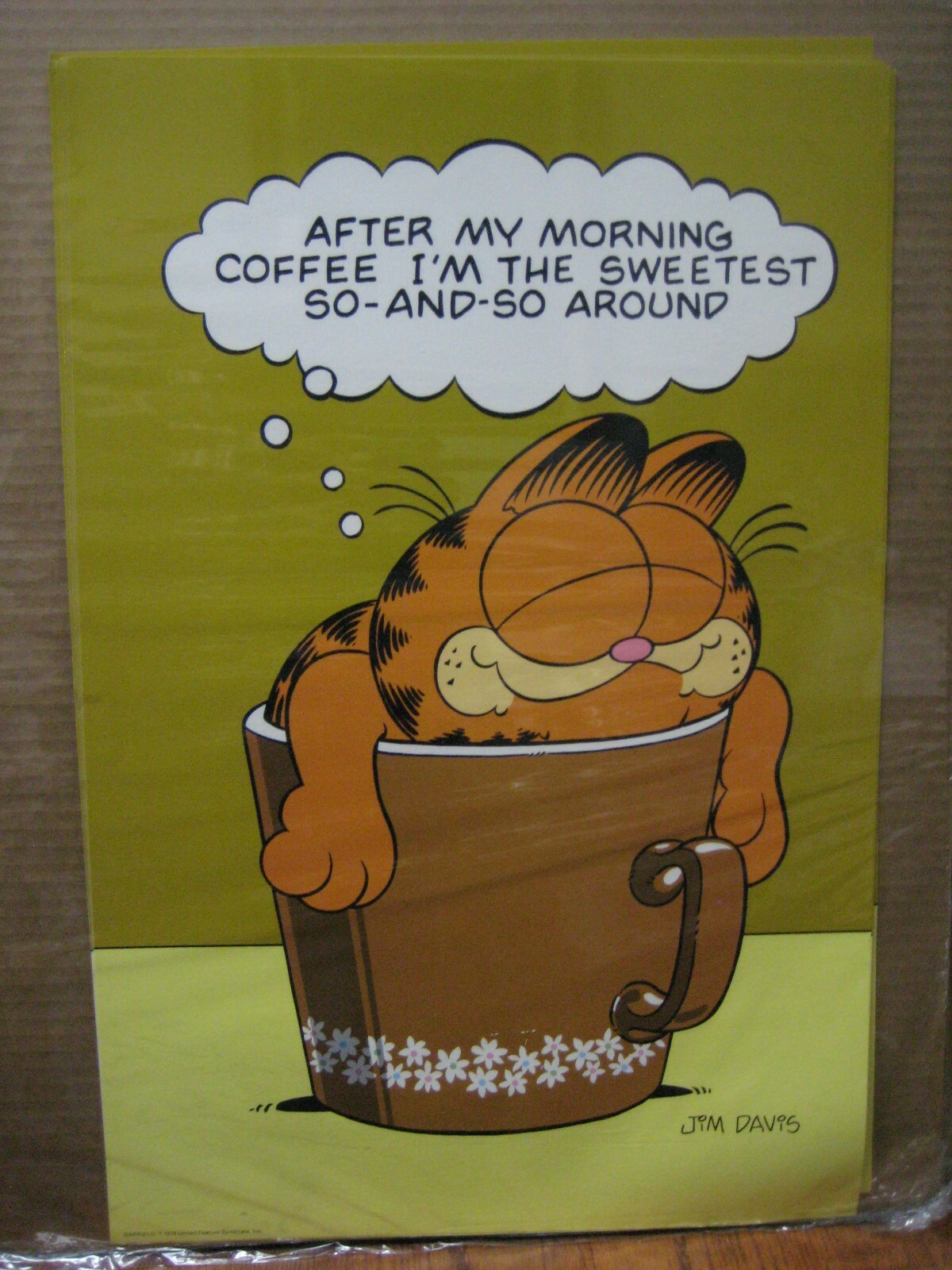 Garfield Morning