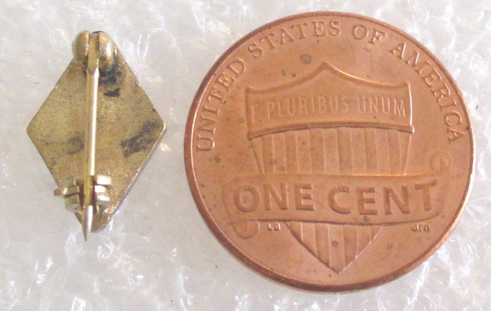 Vintage Delta Zeta DZ Sorority Pledge Pin | eBay