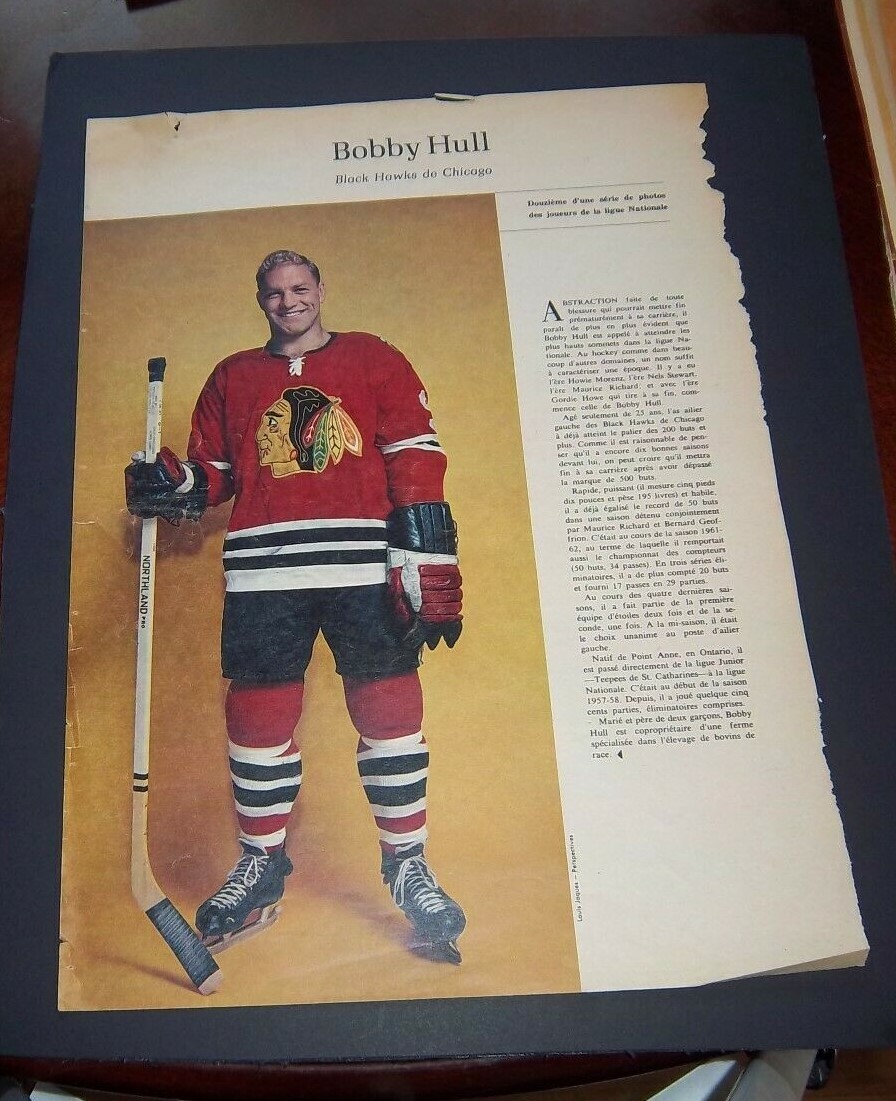 Bobby Hull Jr Bobby And Brett Hull By B Bennett
