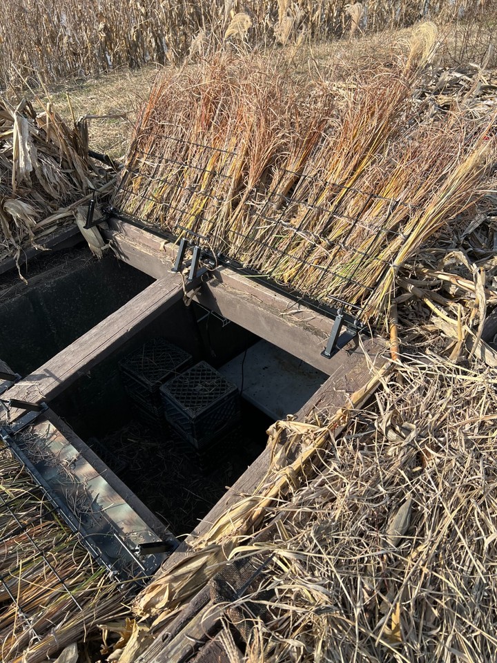 Duck Hunting - Blind Cover Drop Down - Show Me Ducks® | eBay