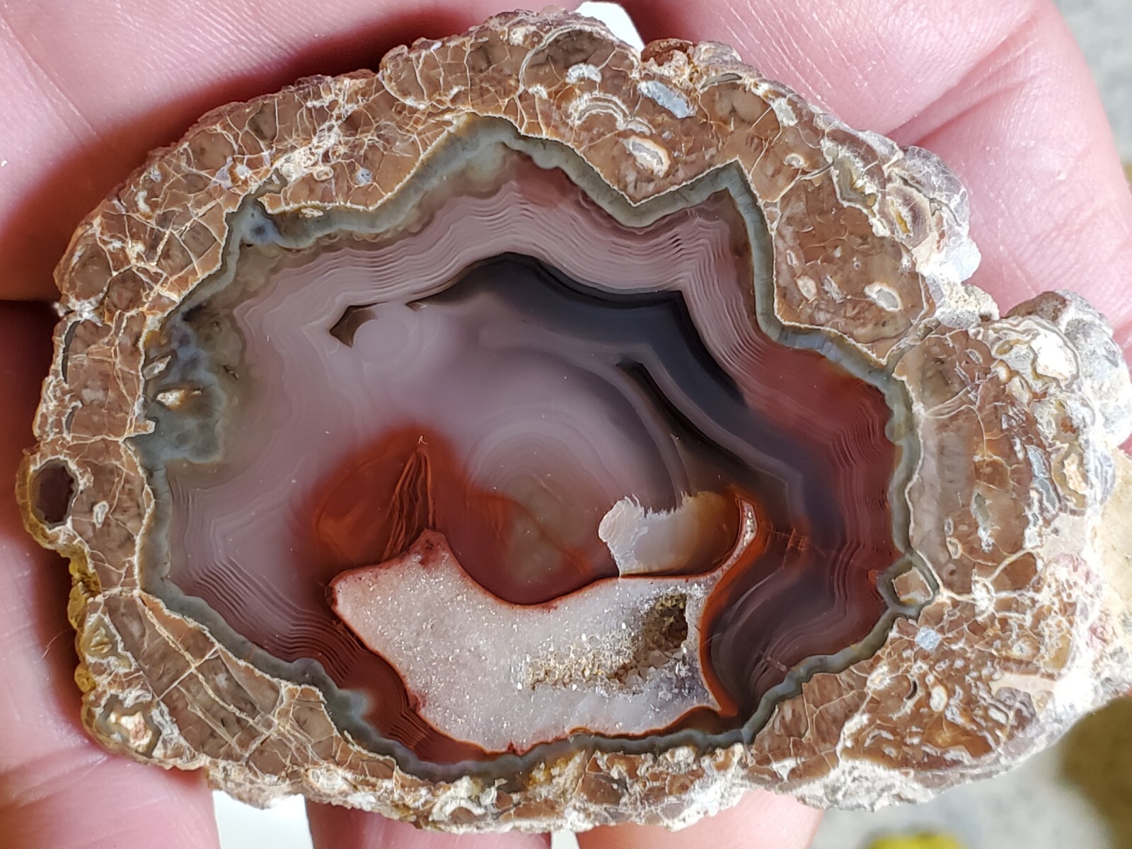 Quality Thunderegg Polished Banded Baker Ranch Agate NM Rare 134g Druzy ...