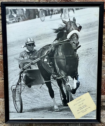 1974 LITTLE BROWN JUG HORSE RACE PREVIEW FRAMED PICTURE JOCKEY TOM ...