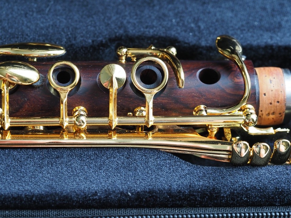 Backun Model F Cocobolo Bb Clarinet with Gold Plated Keys | eBay