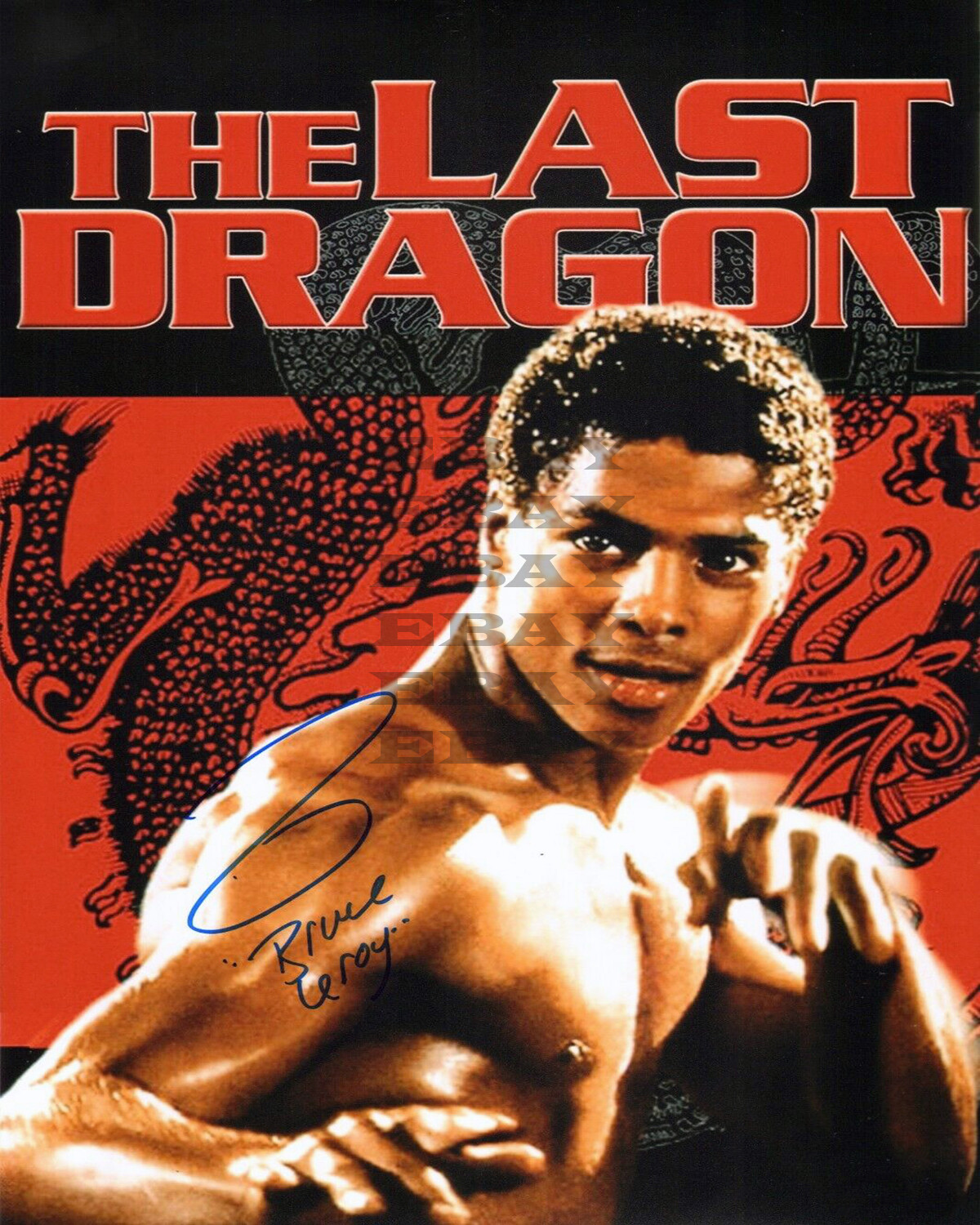 Bruce Leroy The Last Dragon
