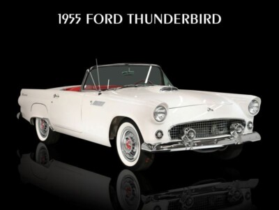 1955 Ford Thunderbird NEW Metal Sign 24"x30" USA STEEL XL Size 7 lb | eBay