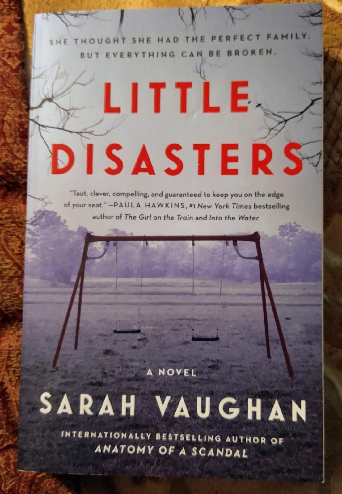 Little Disasters : A Novel by Sarah Vaughan (2020, Trade Paperback ...