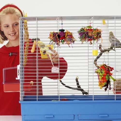 7 Pieces Bird Chewing Toys Bird Toys for Parakeets Colorful Wood Parrot ...