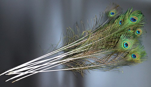 10 echte Pfauenfedern ca. 75 - 90 cm lange Federn Deko | eBay.de