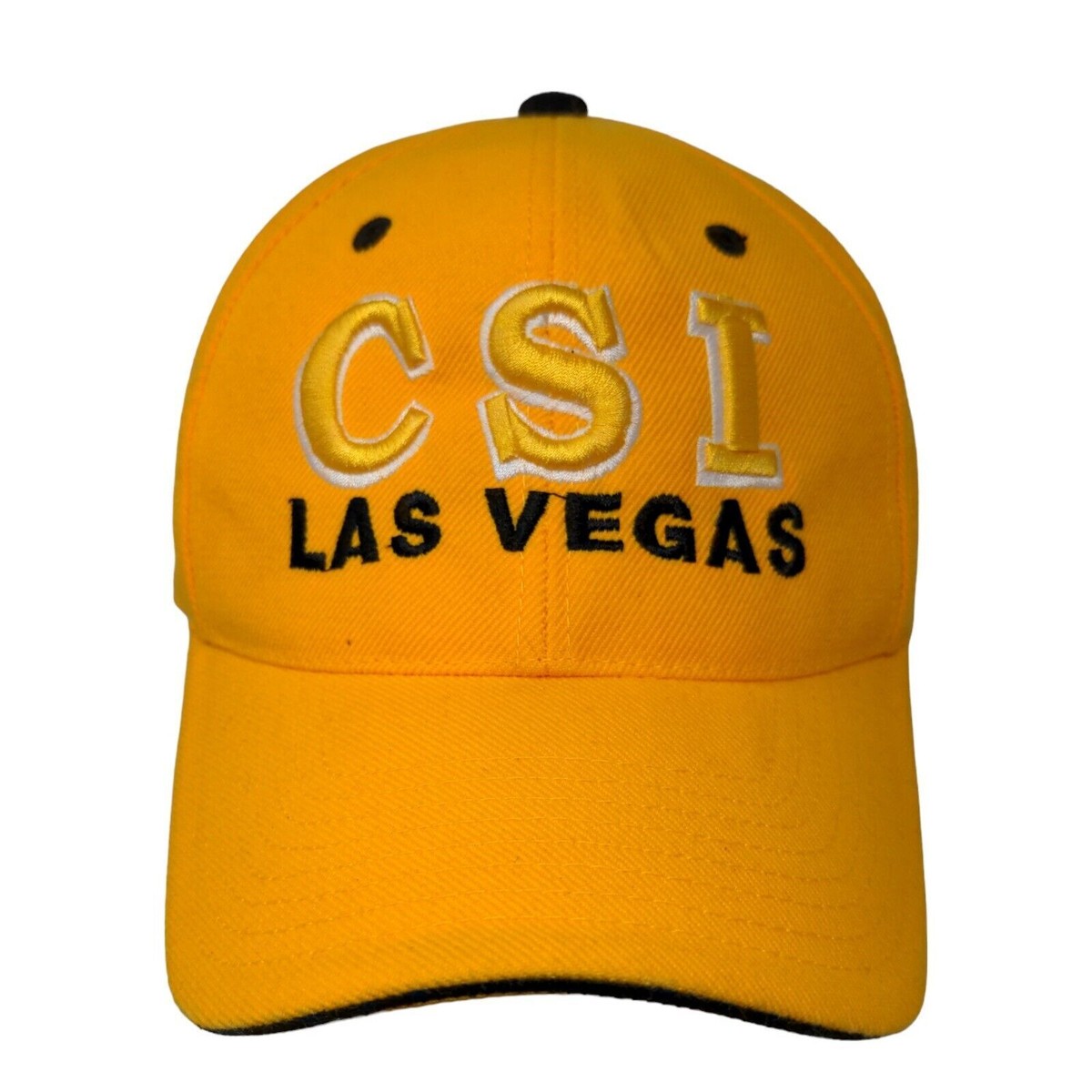 Caap Csi Logo