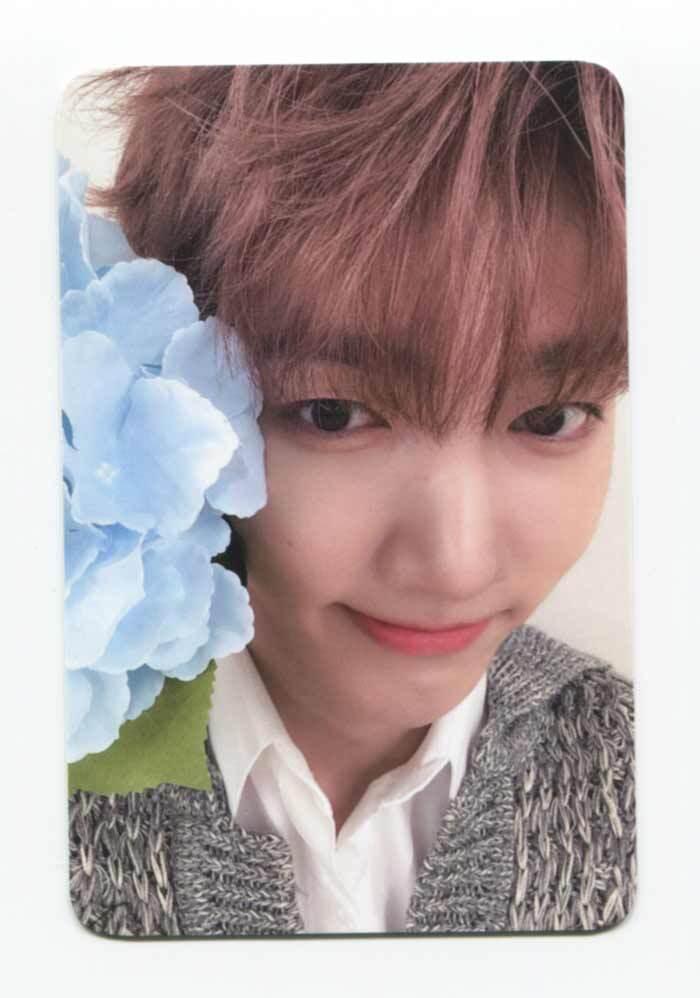 ZEROBASEONE - You had me at HELLO [KTOWN4U] SOLAR VER. POB EXCLUSIVE ...