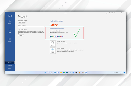 Office 2021 Professional Plus License Key Card | eBay UK