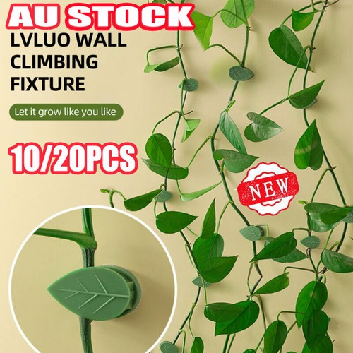 Invisible Wall Vines Fixture Sticky Hook Fixing Clip Climbing Plants ...