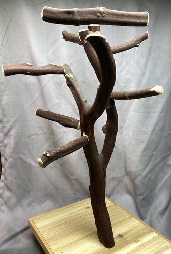 3FT Parrot African Grey Cockatoo MANZANITA Bird Stand Play Stand GYM ...