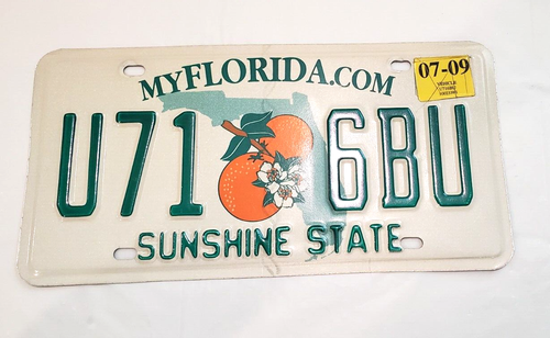 Expired Florida License Plate Tag | eBay