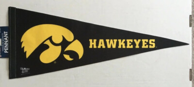 WinCraft Iowa Hawkeyes 12" x 30" Team Logo Premium Felt Pennant, Roll ...