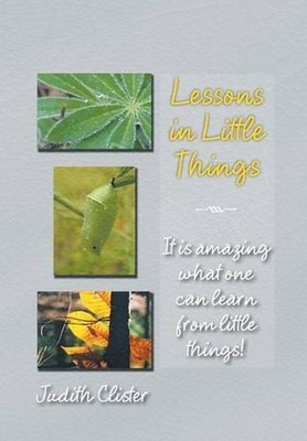Lessons in Little Things: It Is Amazing What One Can Learn from Little ...