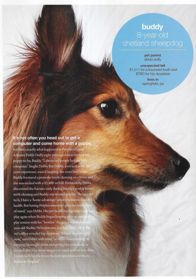 Fetch Magazine Outward Hound Issue Weather Noise and Phobias Outdoors ...