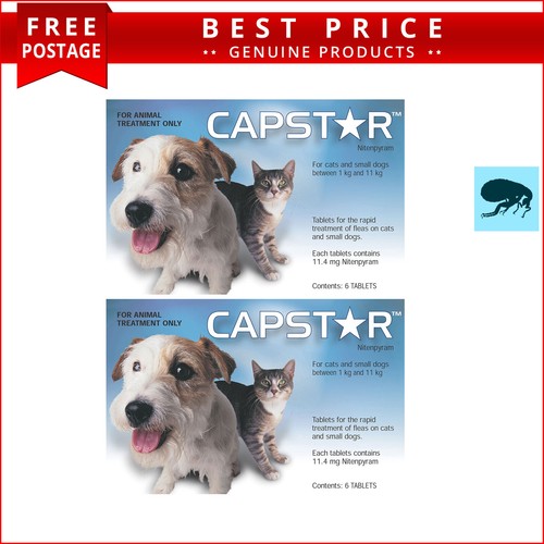 Capstar Blue Pack Flea Treatment for Cats and Small Dogs 0.5 to 11 Kg ...