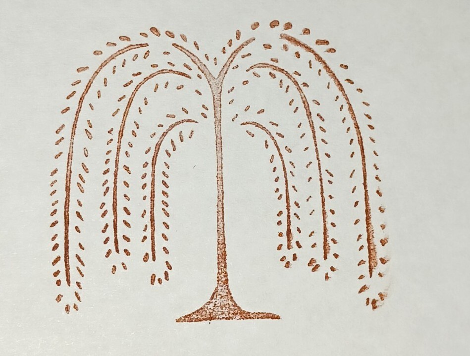 Weeping Willow Leaf Drawing