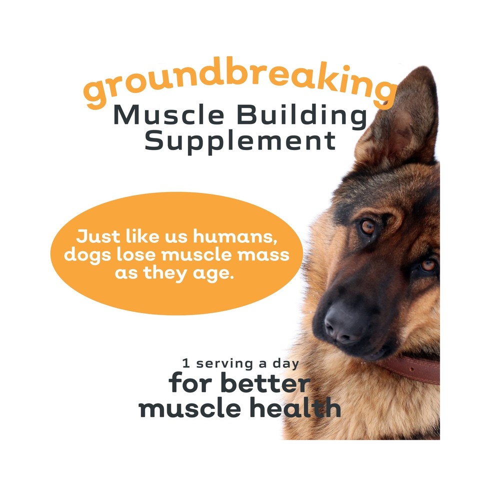 MYOS Canine Muscle Formula - Clinically Proven All-Natural Muscle ...