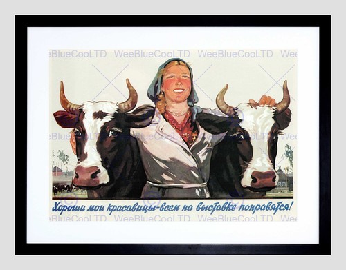 PROPAGANDA USSR COMMUNISM COW MILK BLACK FRAME FRAMED ART PRINT PICTURE ...