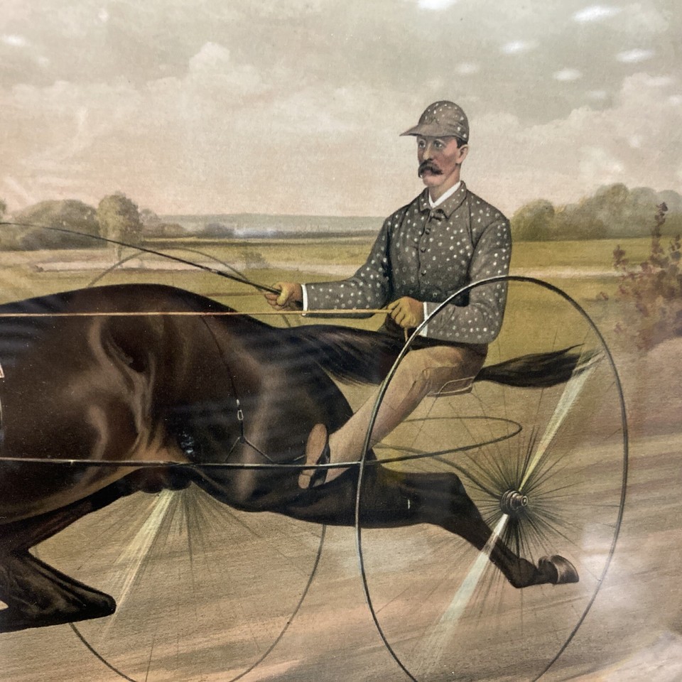 Antique Currier & Ives Lithograph The Champion Stallion Alexander | eBay