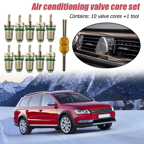 Essential Replacement Valve Cores and Tool for Automotive AC Systems ...