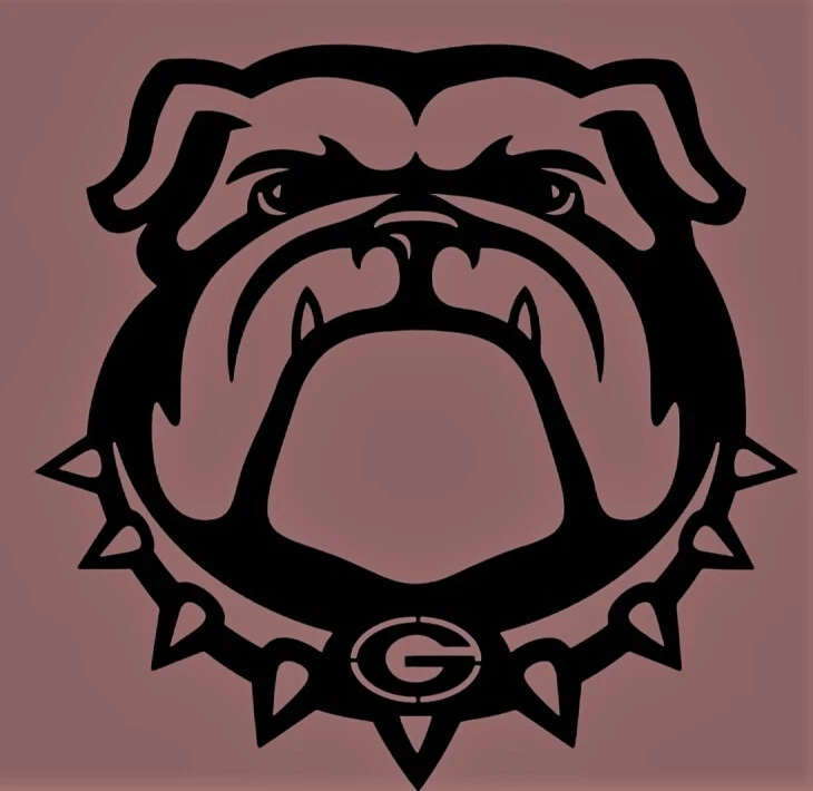 University Of Georgia Wall Art