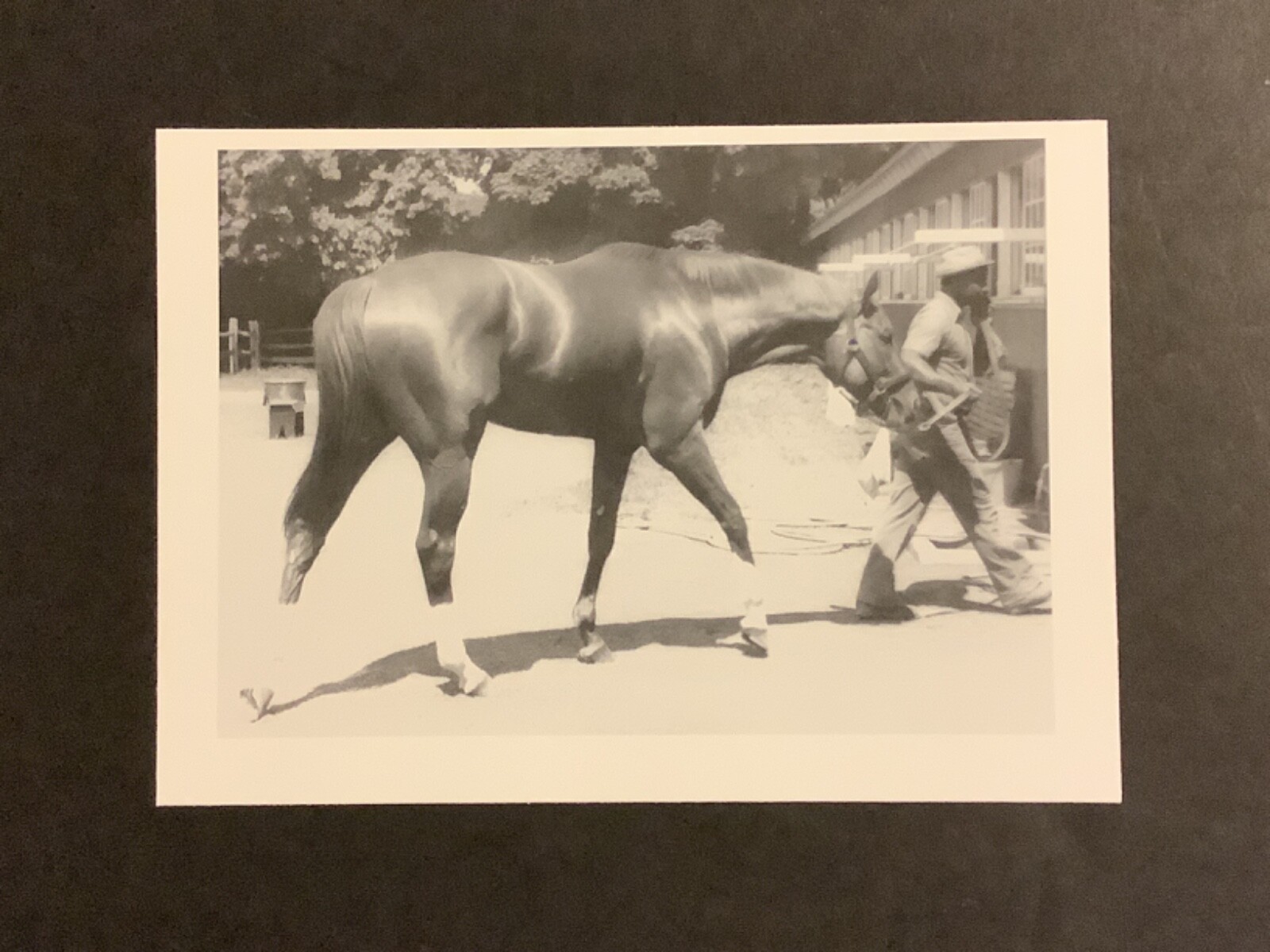 SECRETARIAT EDDIE SWEAT photo Horse Racing 1973 TRIPLE CROWN | eBay
