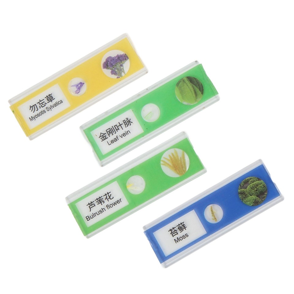 HOT 8Pcs Kids Microscope Specimen Slides Insects Plants Educational ...