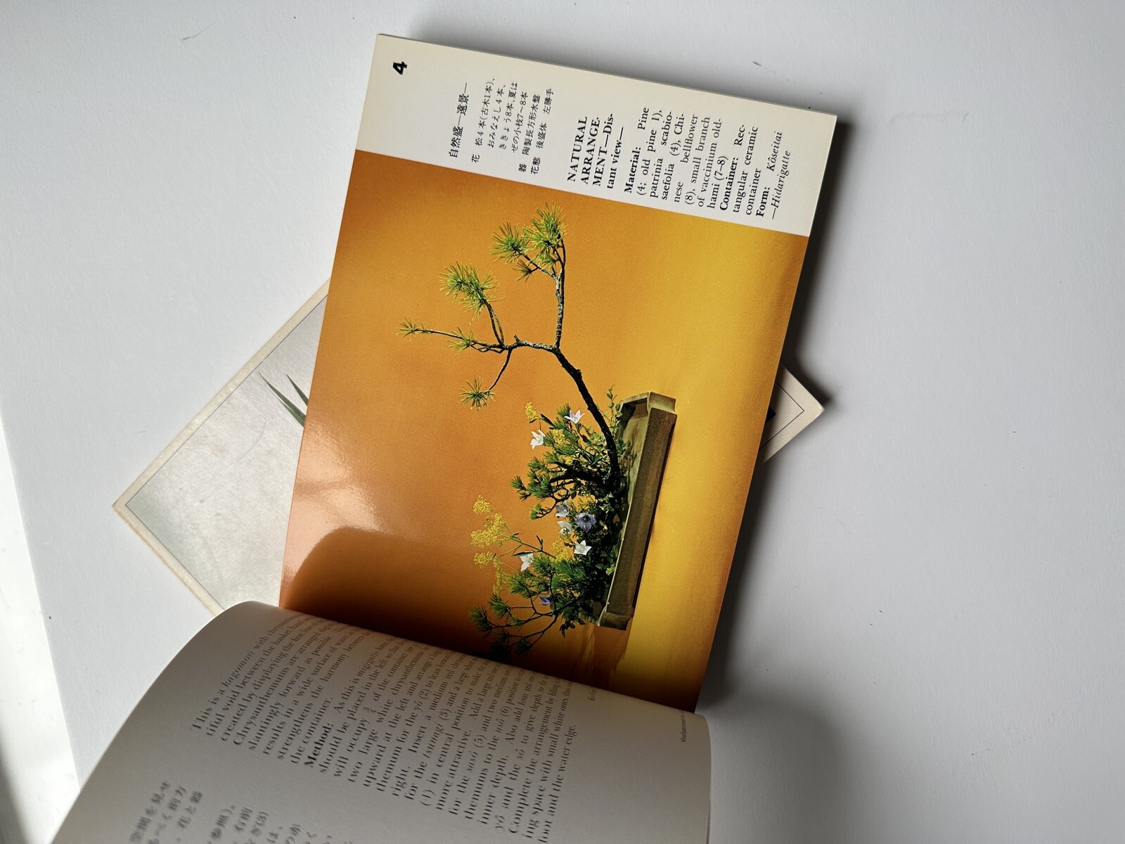 Ikebana Card Book Lot of 2 Ikebana of Senei Ikenobo Shoka SAGA School ...