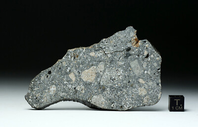 NWA 14981 - 30,9g - HED Eucrite-pmict - Meteorite | eBay