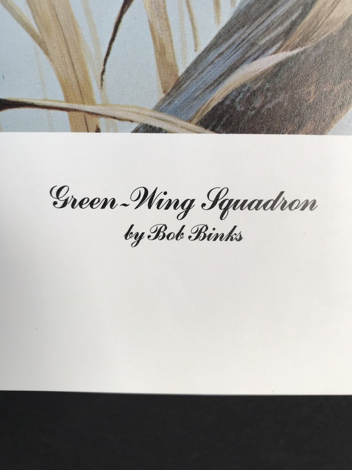 Green-Wing Squadron Poster Art Print Bob Binks Ducks Unlimited #’d ...