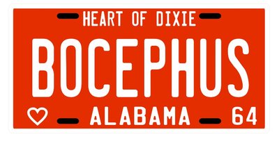 Hank Williams Jr. Bocephus 1964 Alabama License plate | eBay