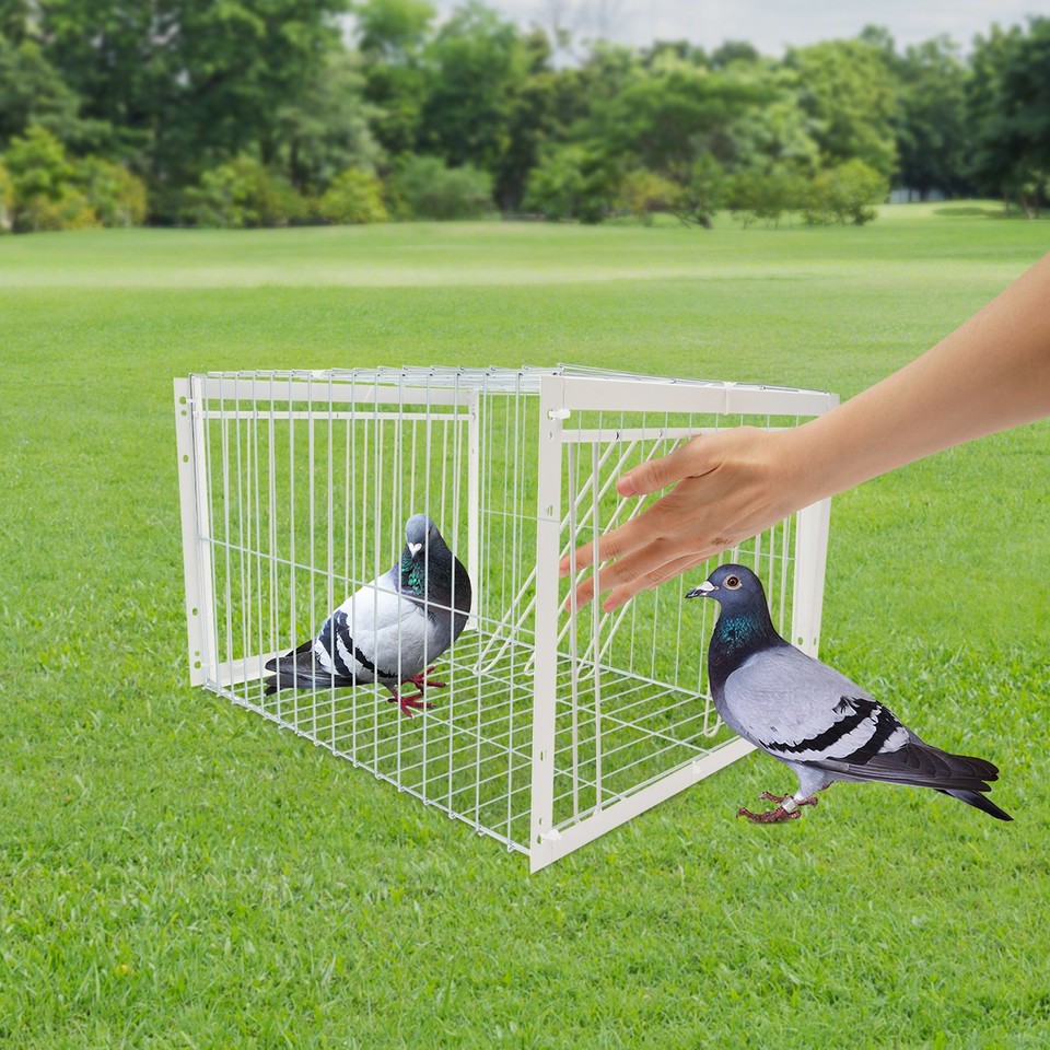 Pigeon Cage, One-way Entry Birds Trap Cage , Pigeon Trap W/escape-proof ...