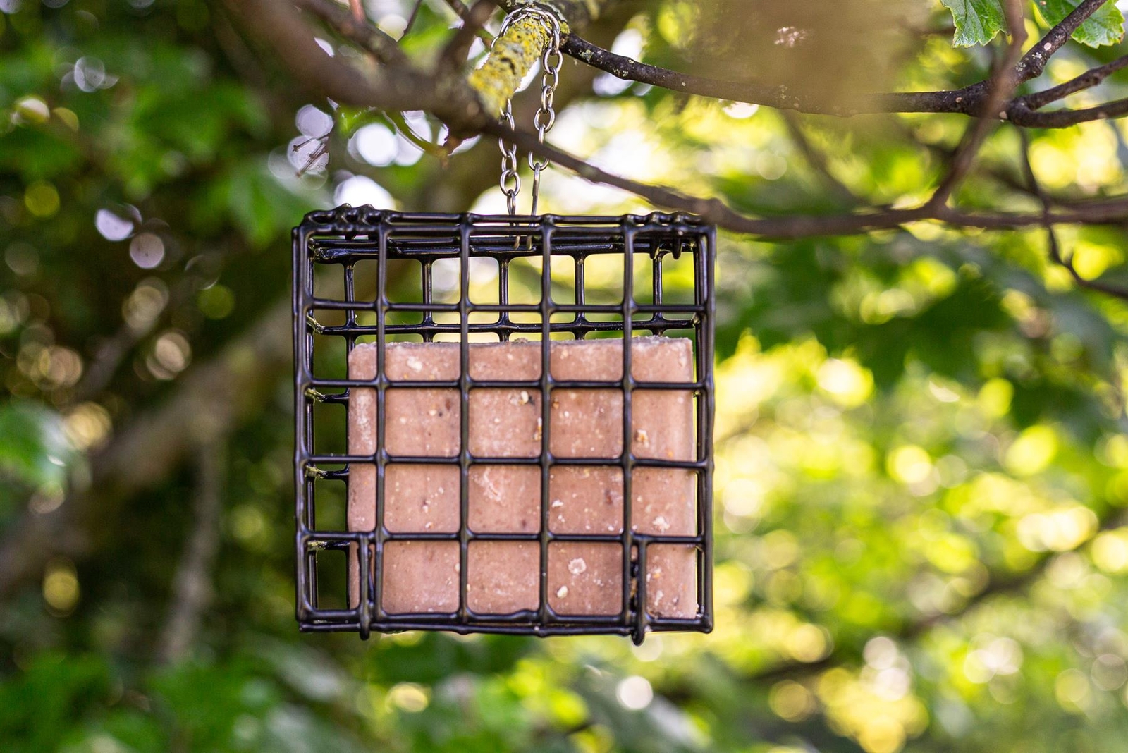 Chubby Suet Fat Blocks High Energy Garden Bird Food Suet Cakes For Wild ...