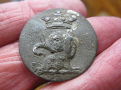 Buttons - Crown Buttons