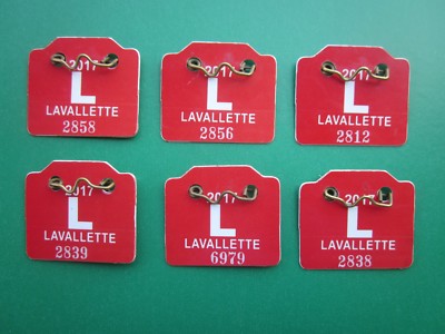 6 LAVALLETTE NEW JERSEY SEASONAL 2017 BEACH BADGES/TAGS 8 YEARS OLD | eBay