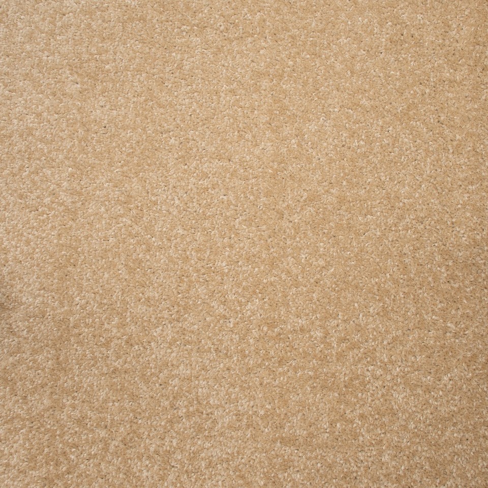 Beige Carpet Cheap Beige Carpets Loop Twist & Saxony Pile Beige Carpets ...